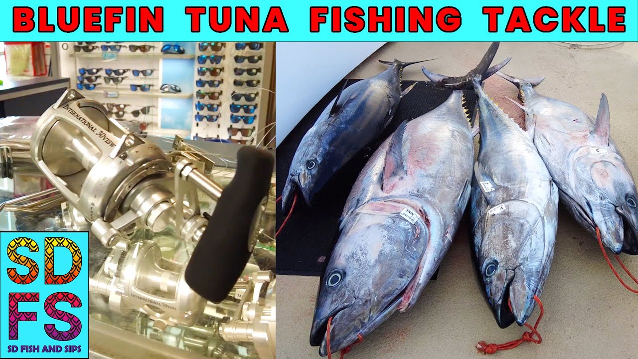 Bluefin Tuna Tackle Secrets REVEALED – Kite Fishing Masterclass!
