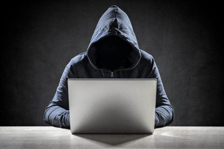 Infiltrating a scam operation's internal Zoom calls (watch)