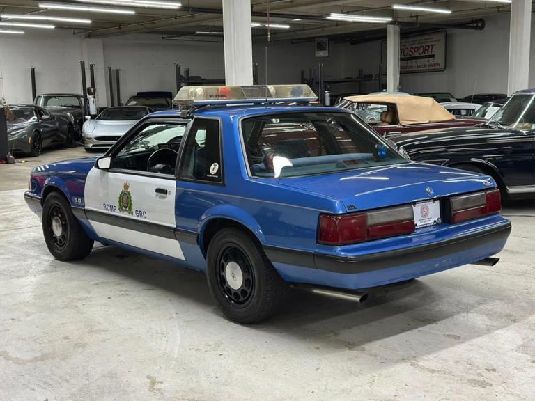 Police Package Vehicles from Hemmings.com that Offer Performance and ...