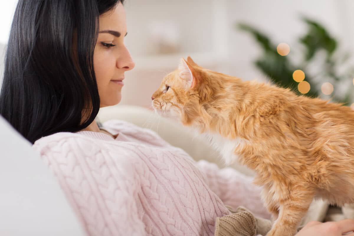 These cat quotes are so accurate it’s almost unsettling