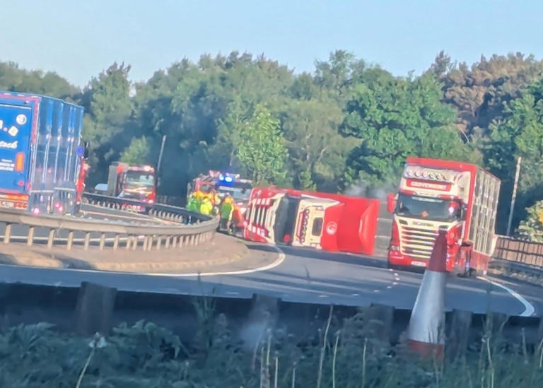 M1 closed for hours after cattle lorry overturned in Co Armagh