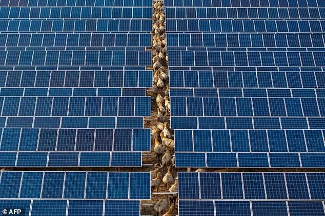 Revealed: China has secretly installed kill switches in solar panels ...