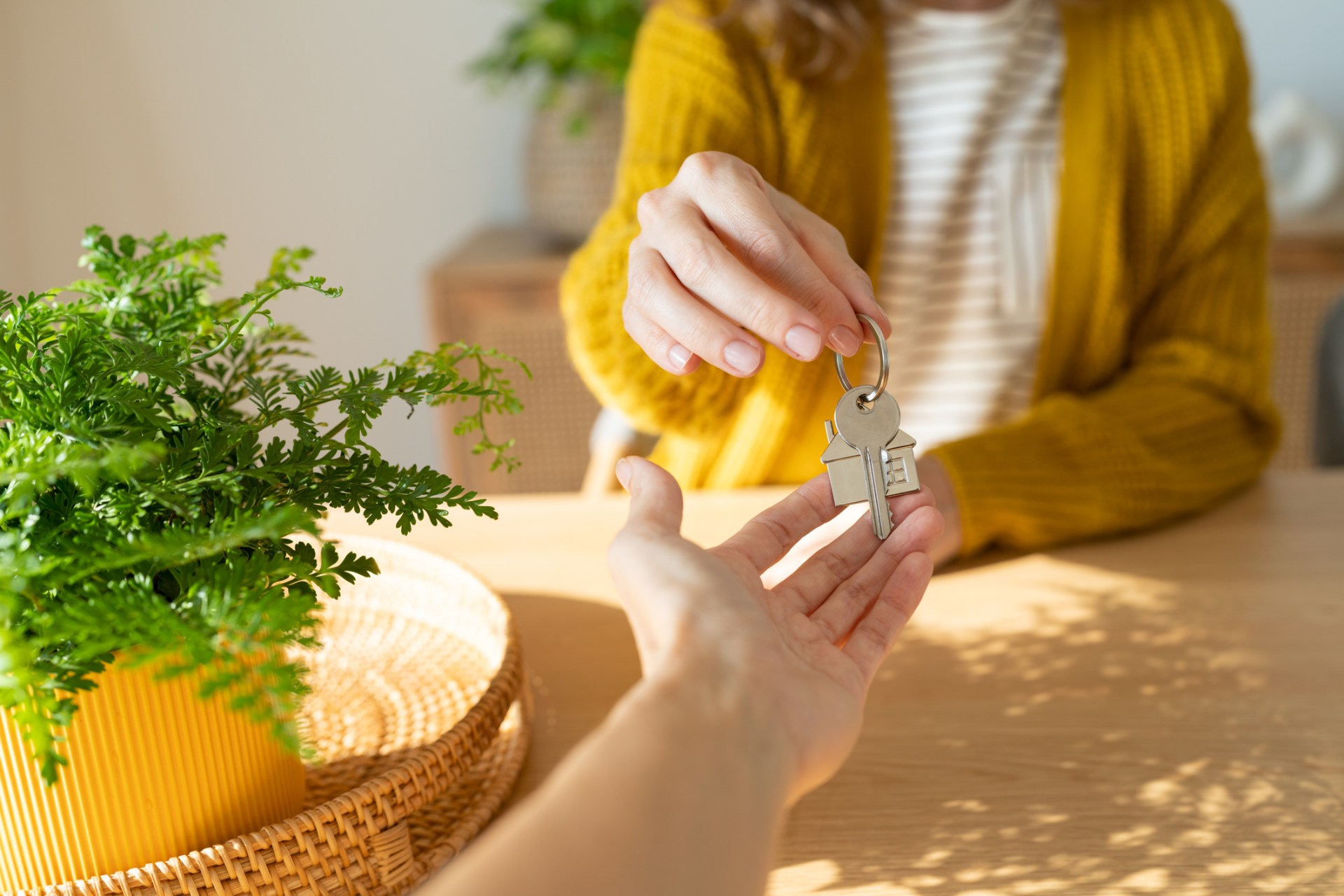 The ‘unusual’ way you can build your credit score as a renter