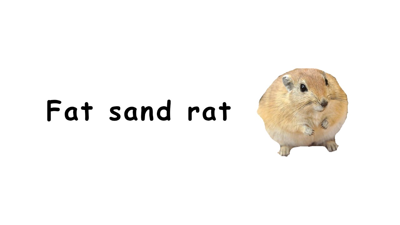 Goofiest names in science explored