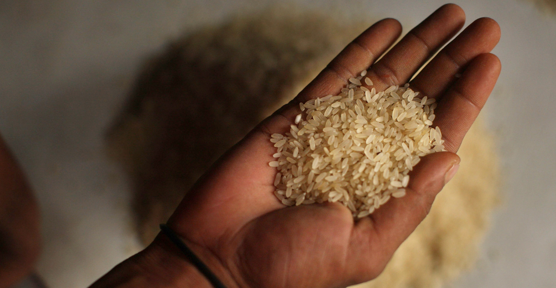 Over 100 US rice brands contain toxic metals