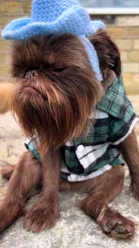 Paul Lee Hiley Reacts with Laughter