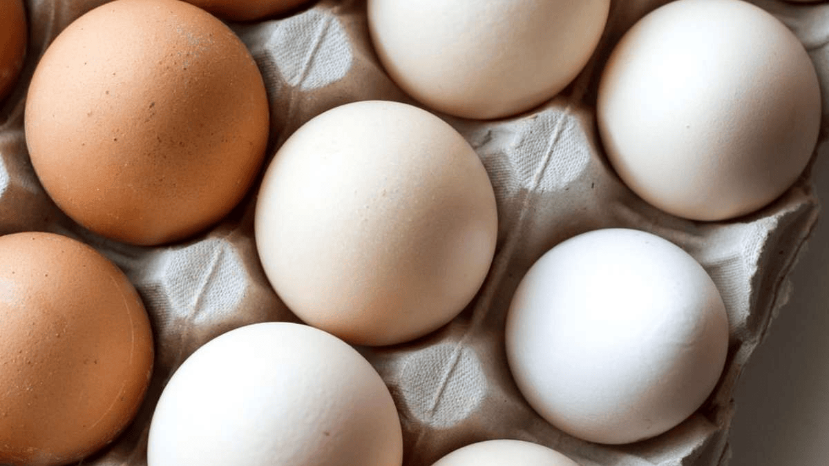 Eggs finally fall in price: CPI