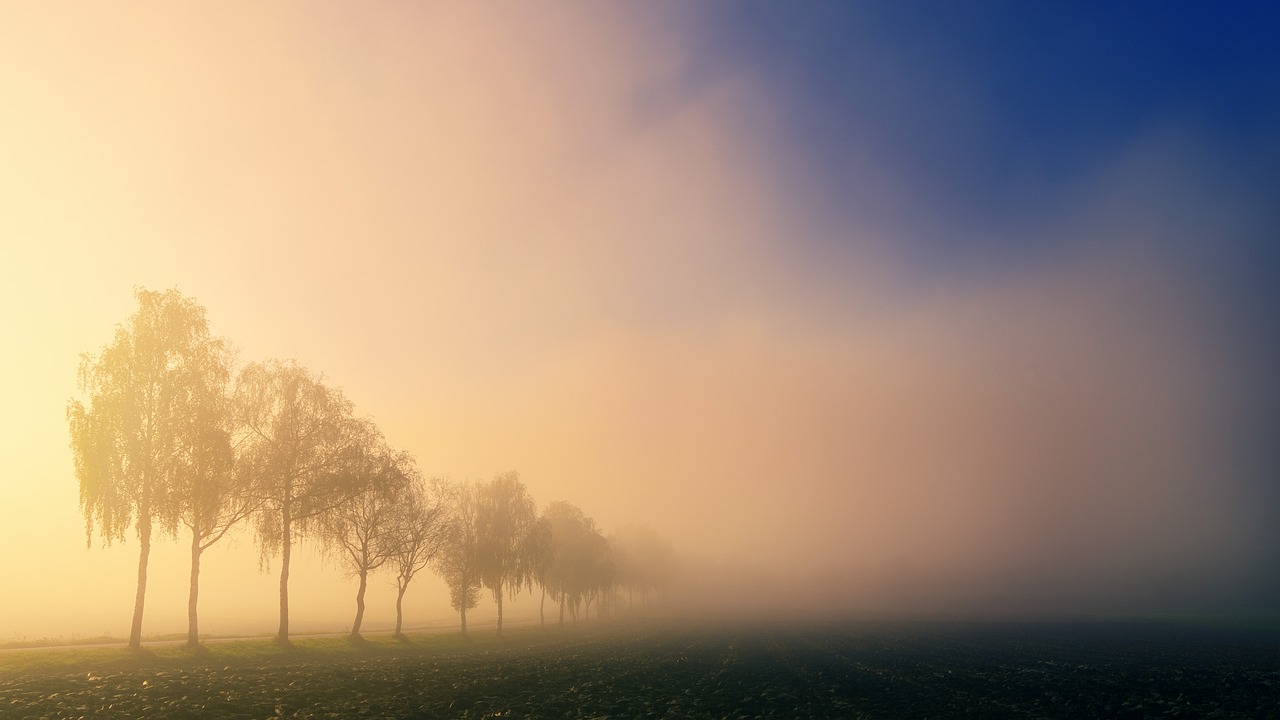 How Fog Develops and Why It Disperses