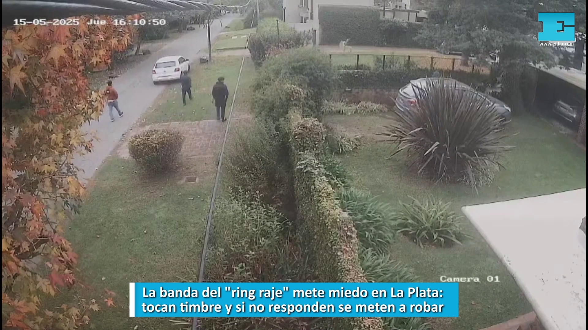 La banda del "ring raje" mete miedo en La Plata: tocan timbre y si no ...