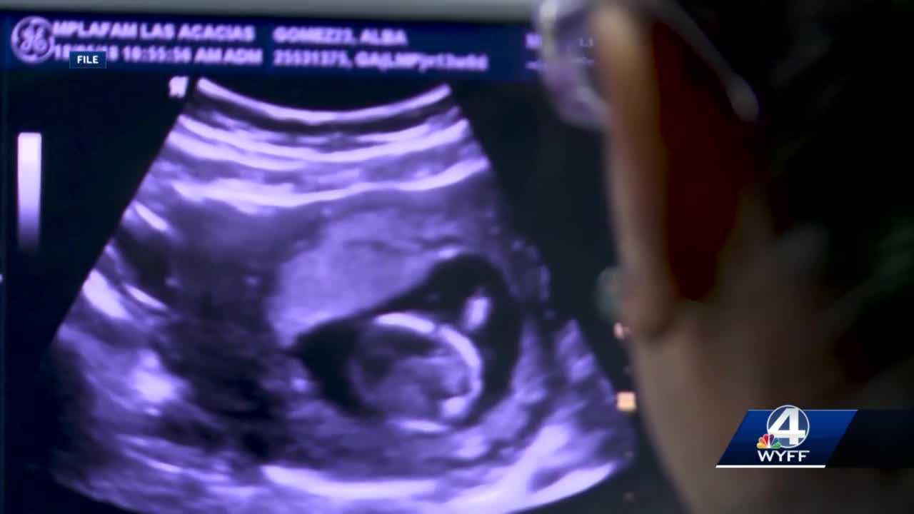 Abortion, DUI laws among first topics for South Carolina lawmakers this ...