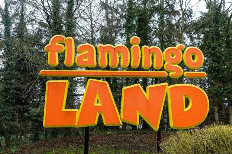 Flamingo Land: Yorkshire-based theme park given permission in principle ...