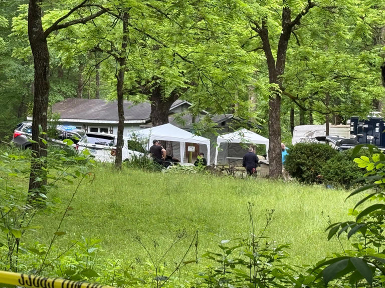 Dig turns up no evidence amid renewed search for Brooke Henson