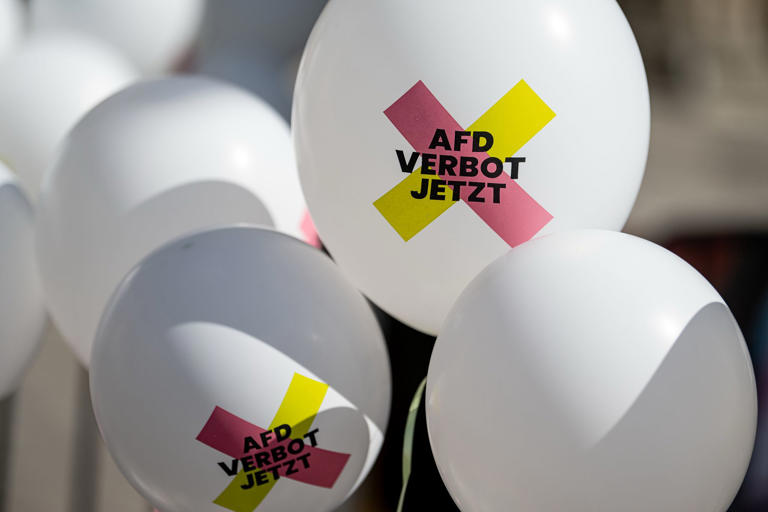 Poseck gegen AfD-Verbotsantrag