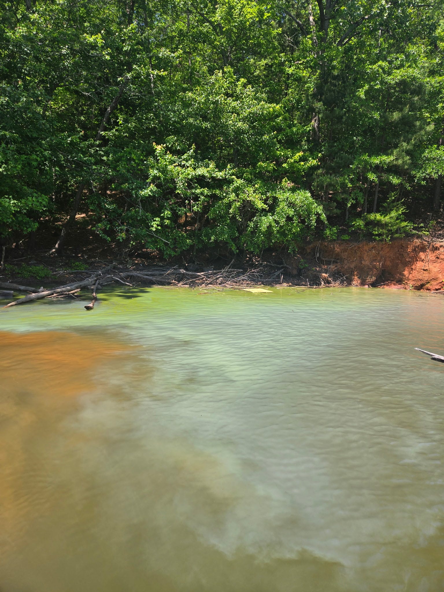 SCDES continues to monitor harmful algal blooms on Lake Hartwell: Water ...