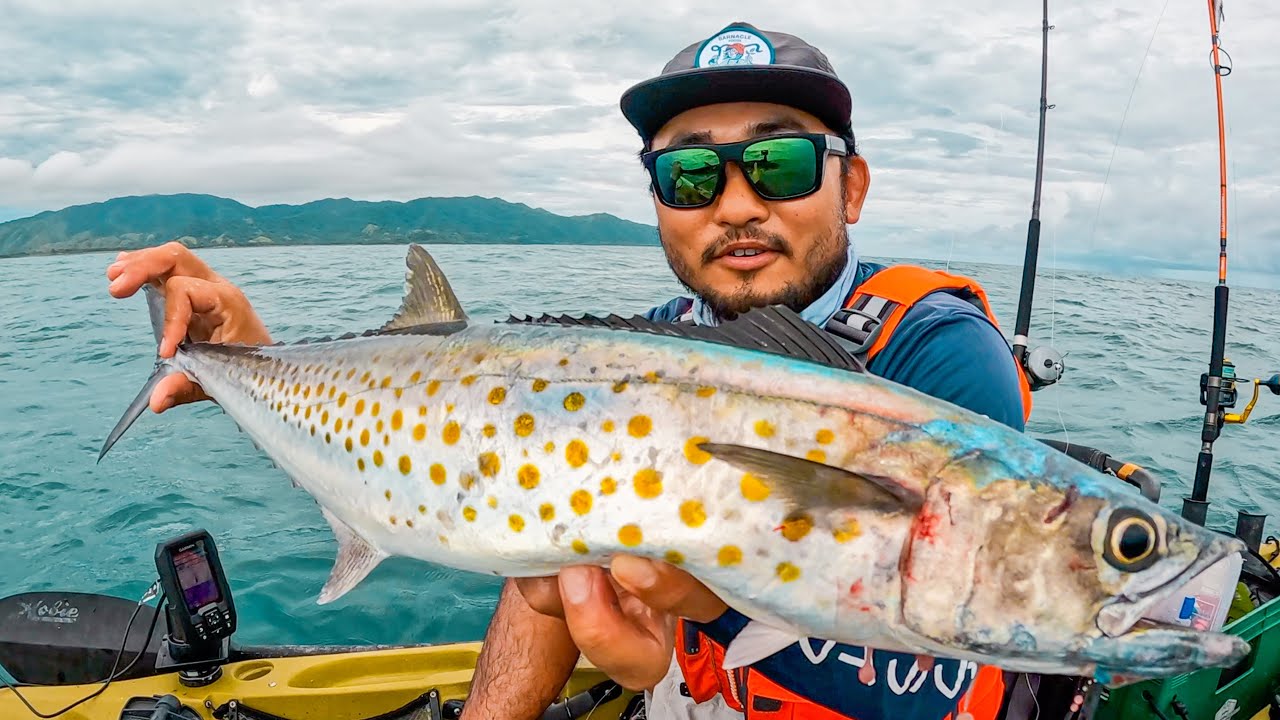 Outdoor Chef Life - MSN