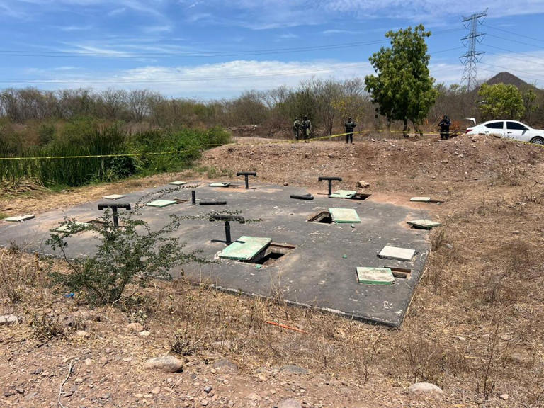 Persiste la violencia en Sinaloa: nueve asesinatos, tres osamentas y seis desapariciones en un ...