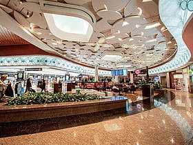 Avoid long queues at 8 India airports by using Fast Track Immigration