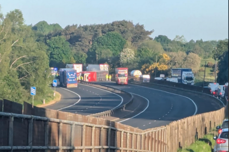 M1 closure latest as PSNI issue update on cattle recovery