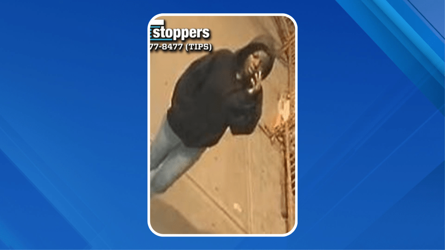 Woman pepper sprayed while she was being robbed in Brooklyn: NYPD
