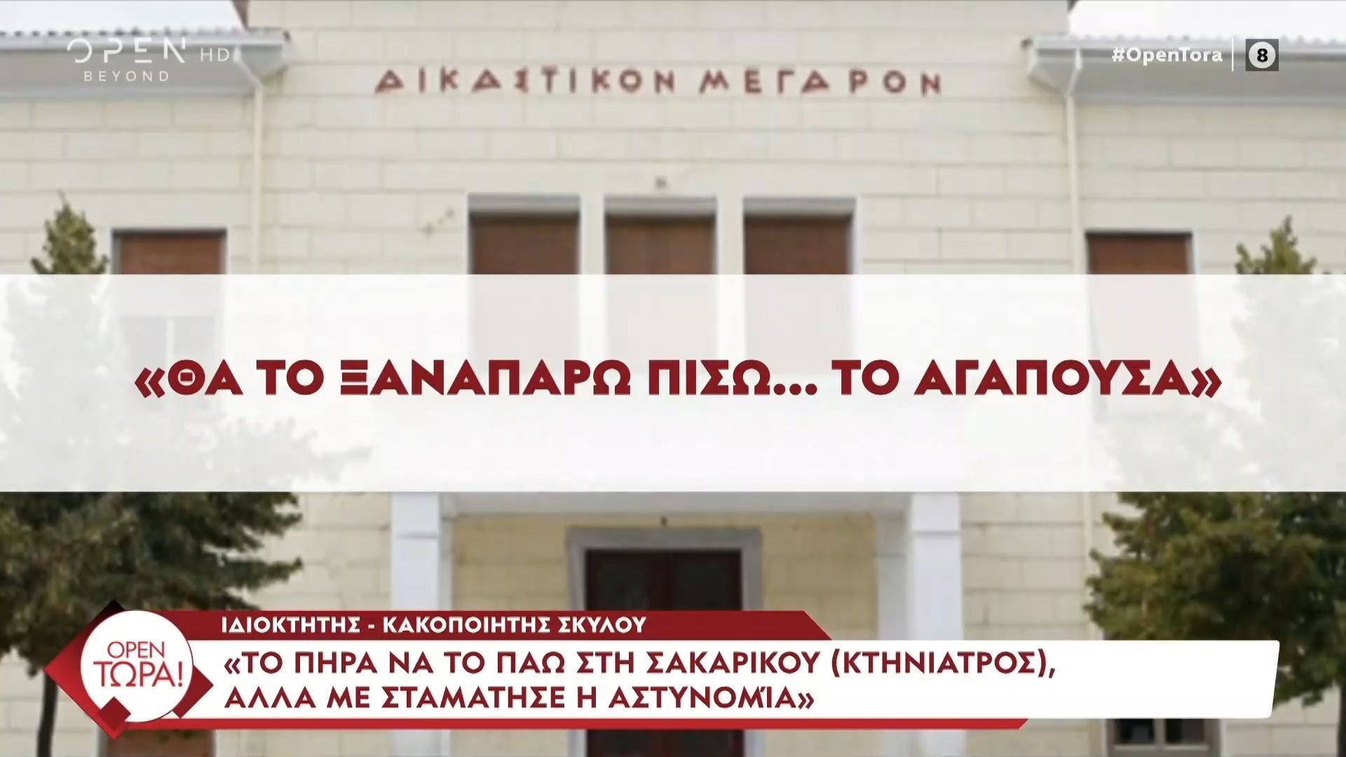Ιδιοκτήτης - Κακοποιητής σκύλου: «Δεν ξέρω... μπορεί και να το έκανα ...