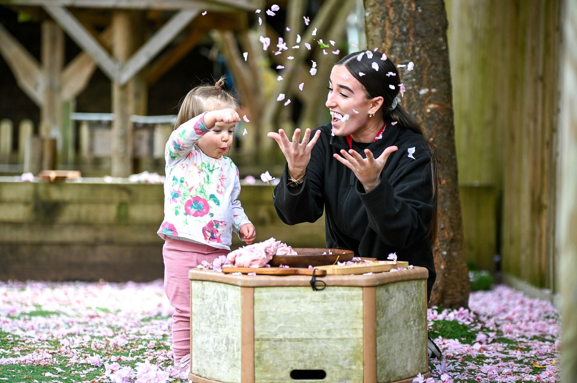 Childbase Partnership top of the class again in DayNurseries awards