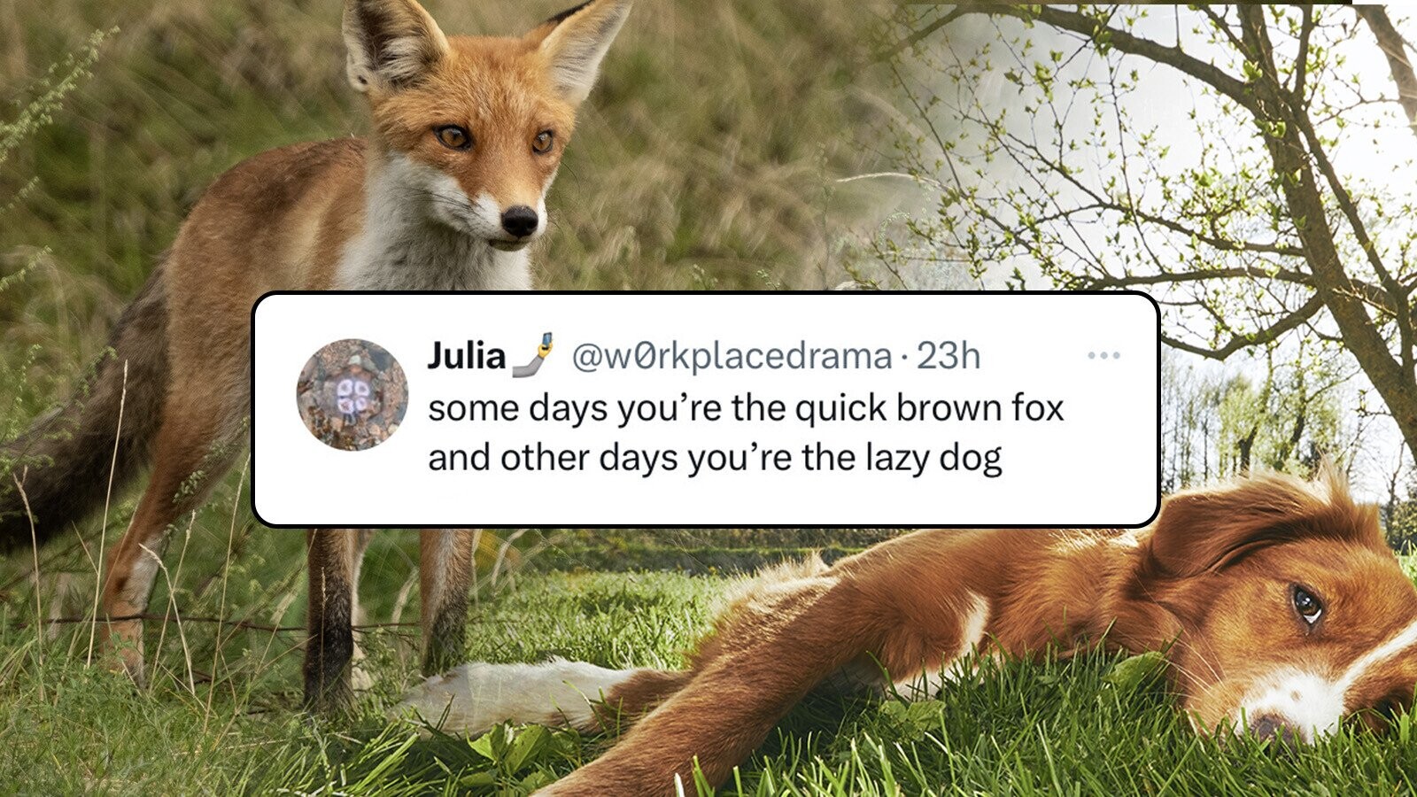 26 of the Funniest Tweets from Thursday, May 15, 2025