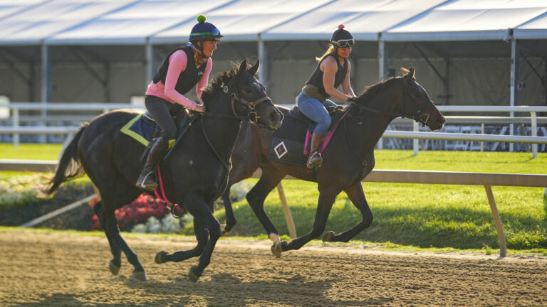 Predicting the Finishing Order for the 2025 Preakness Stakes