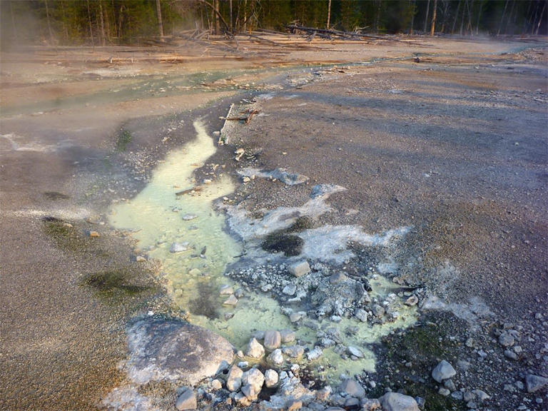 Scientists Uncover Hidden Giants in Yellowstone’s Toxic Hot Springs ...