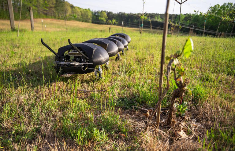 Giant Robotic Bugs Are Headed to Farms