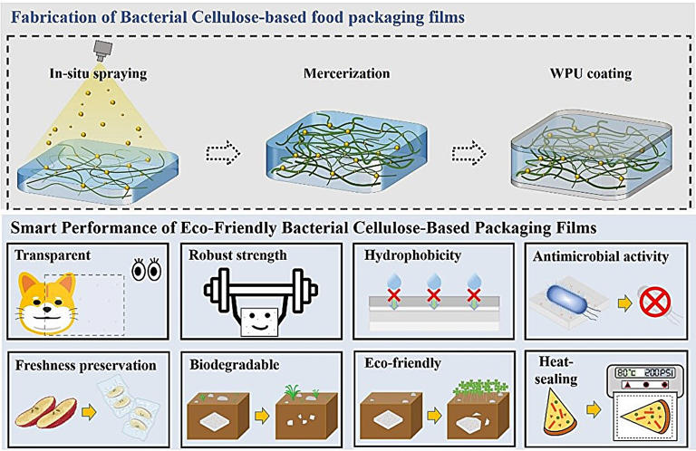 Advancing toward cellulose-based materials for effective and ...