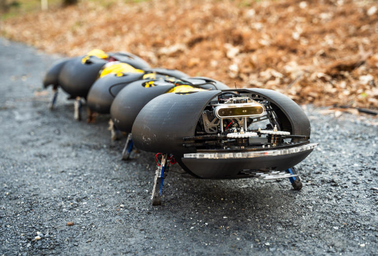 Giant Robotic Bugs Are Headed to Farms