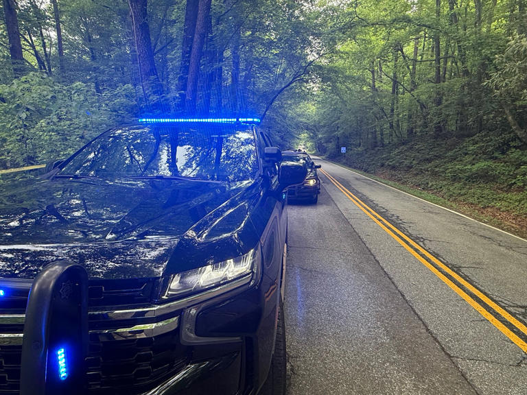 Dig turns up no evidence amid renewed search for Brooke Henson