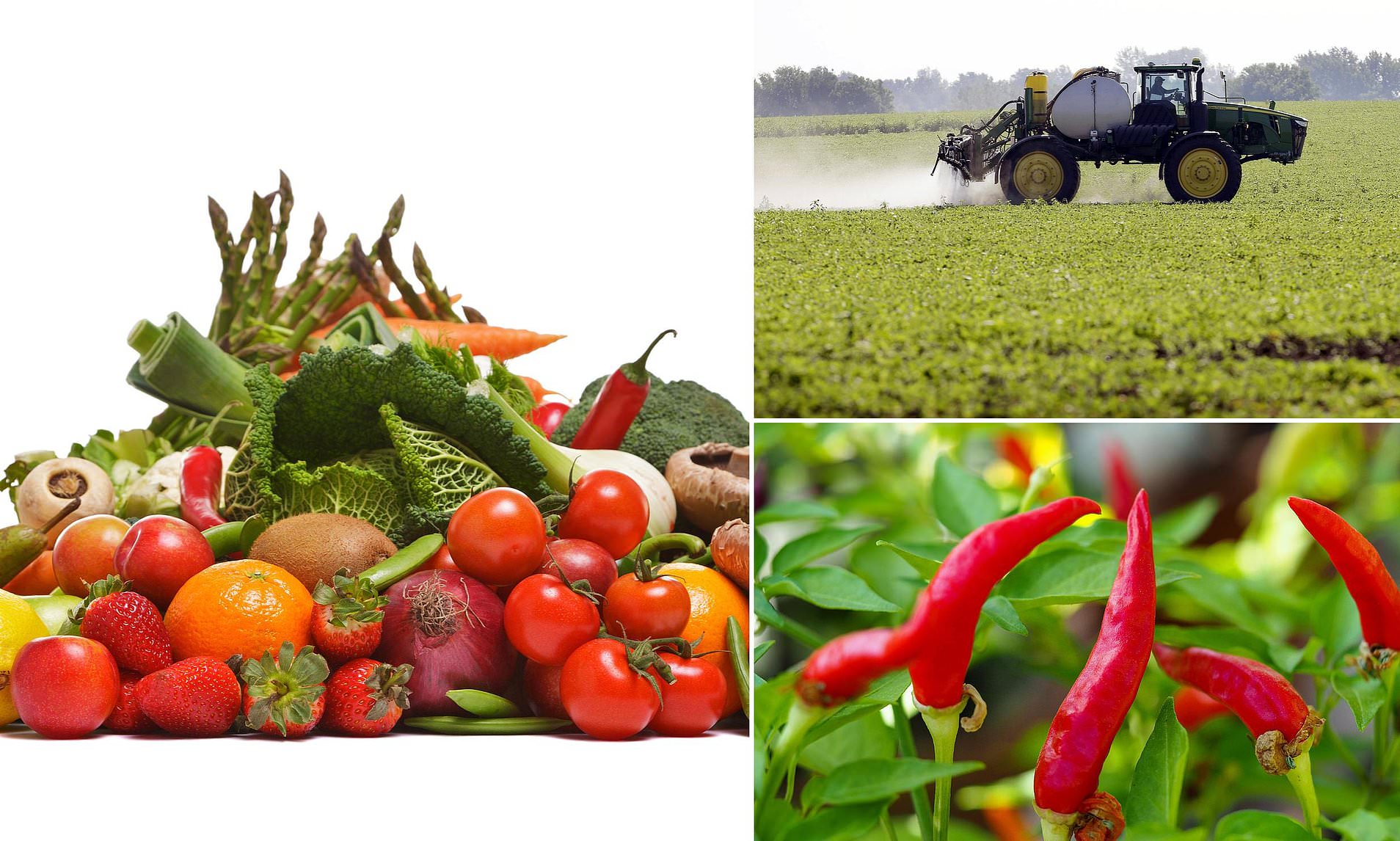 Report reveals the foods that are most likely to be laced with nasty ...