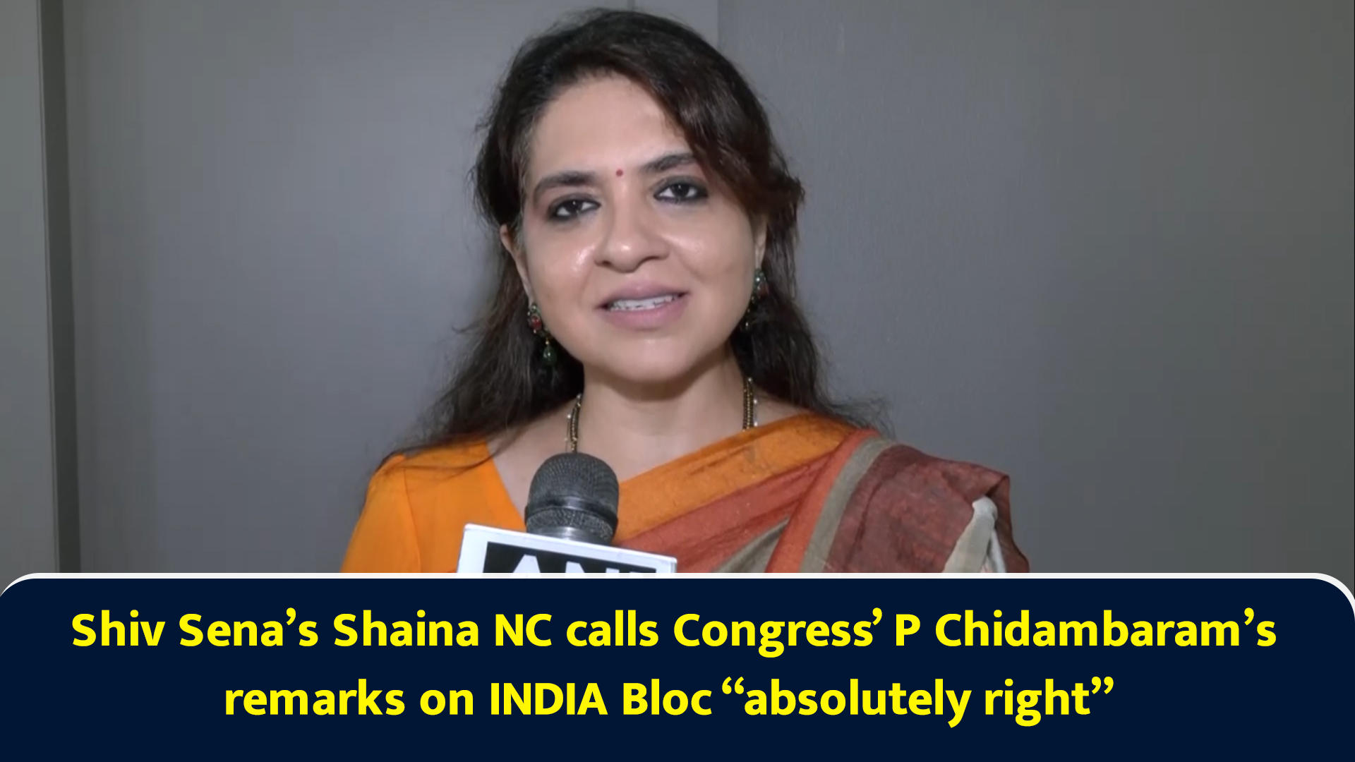 Shiv Sena’s Shaina NC calls Congress’ P Chidambaram’s remarks on INDIA ...