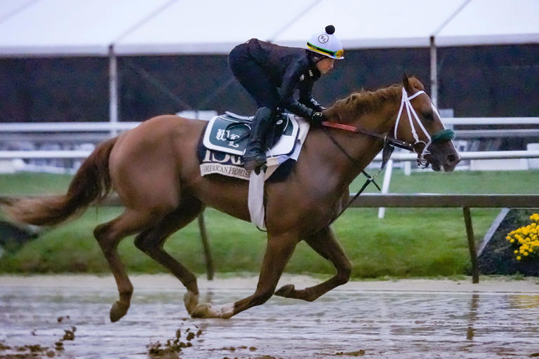 4 'mudders' to bet on at the 2025 Preakness who thrive in the rain