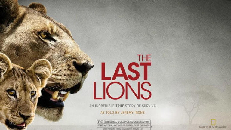 Endangered Species Day - 8 Powerful Documentaries About Animals on the ...
