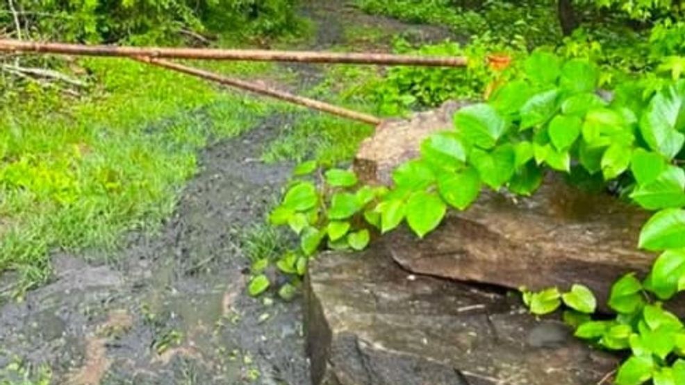 After viral video, illegal human waste dumping investigation underway ...