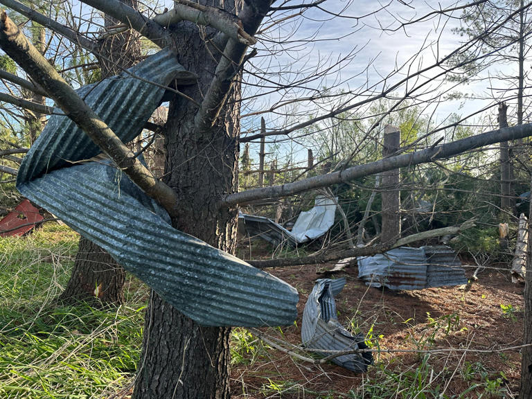 PHOTOS: Storm damage in Dodge County