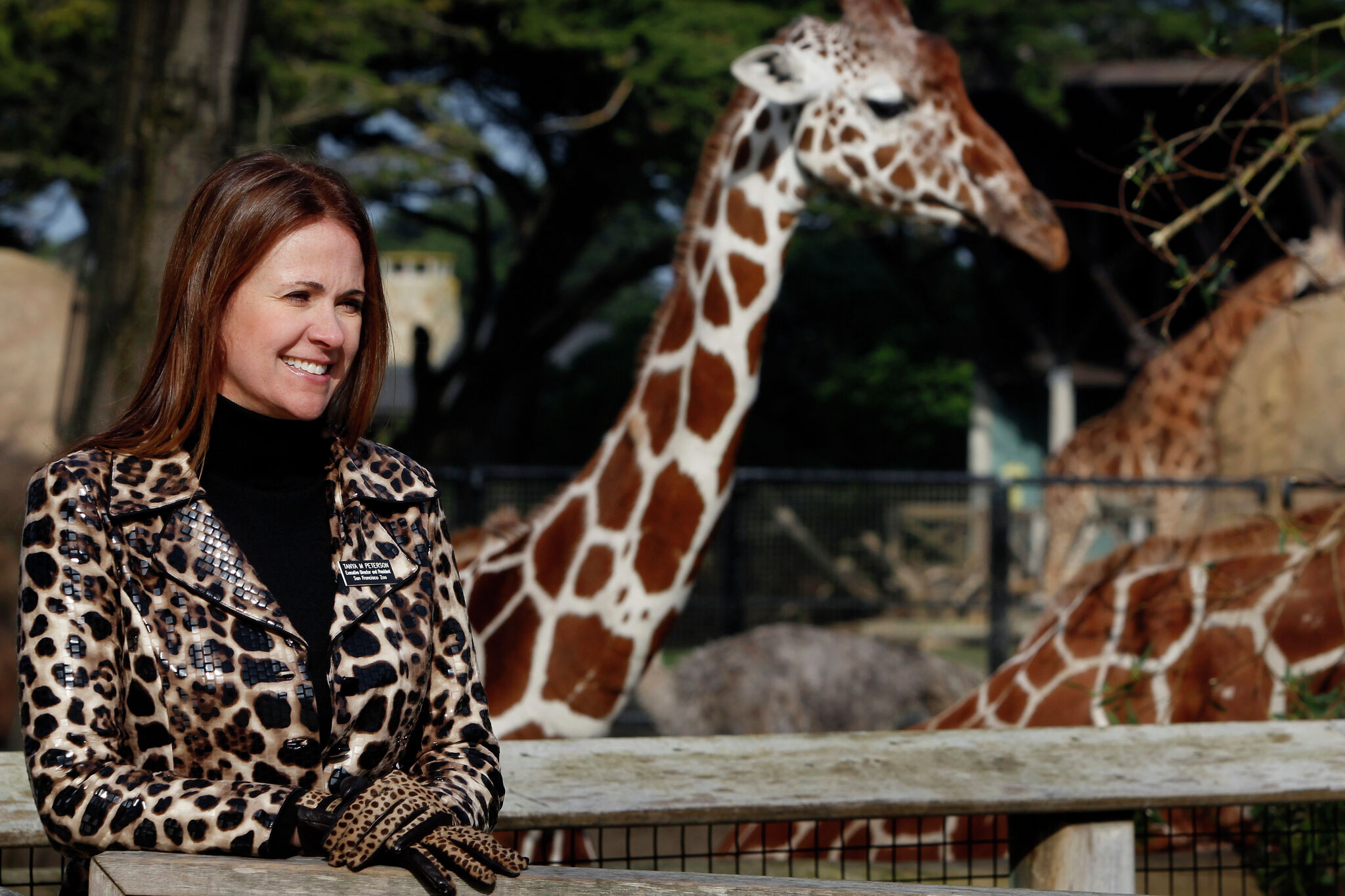 Exclusive: San Francisco Zoo board member resigns over lack of action ...