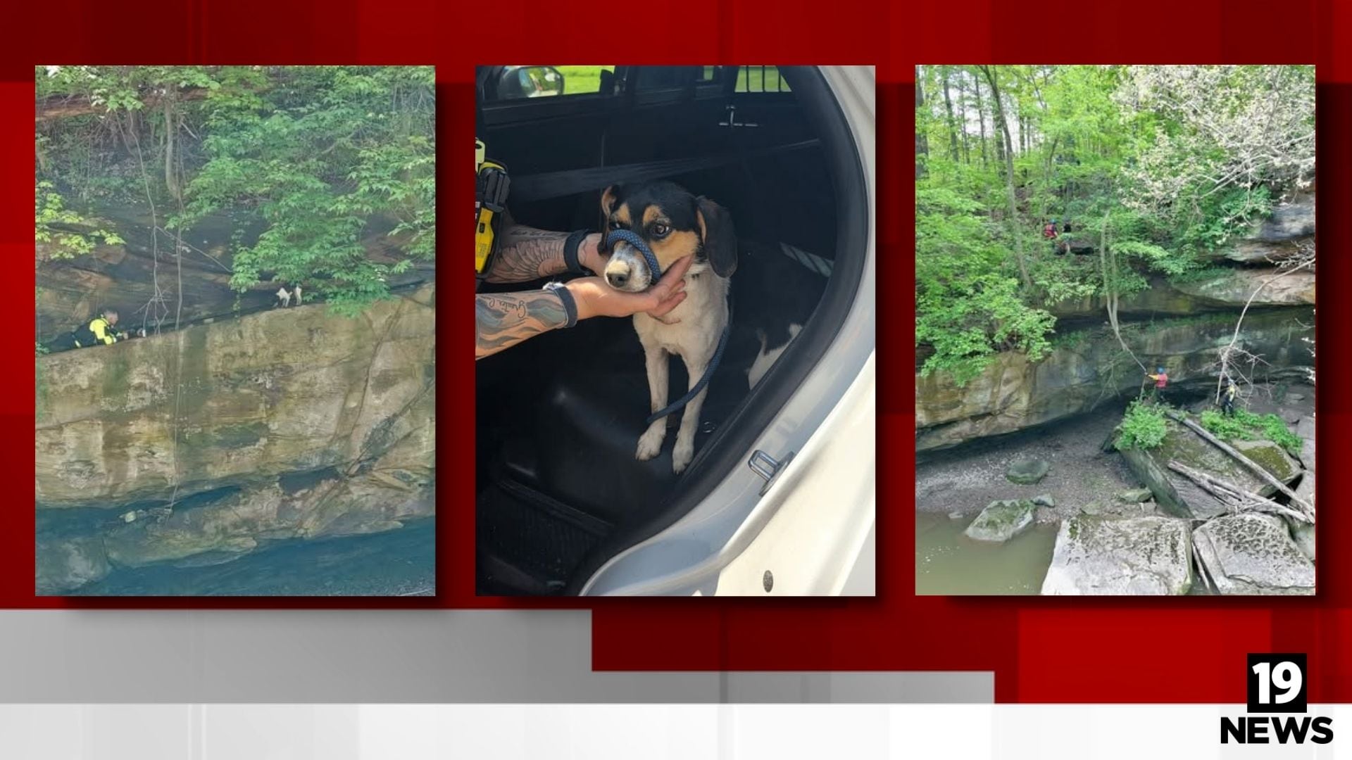 Cleveland Metroparks Police rescue stranded dog