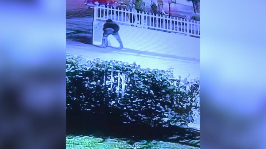 LAPD launches hate crime investigation after vandal spray paints Mosque