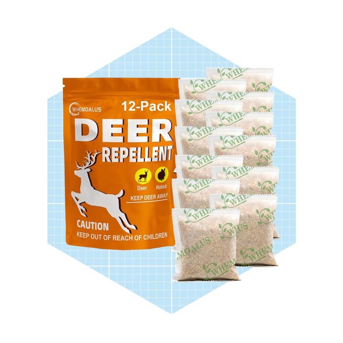 7 Best Rabbit Repellents to Save Your Garden From the Adorable Creatures