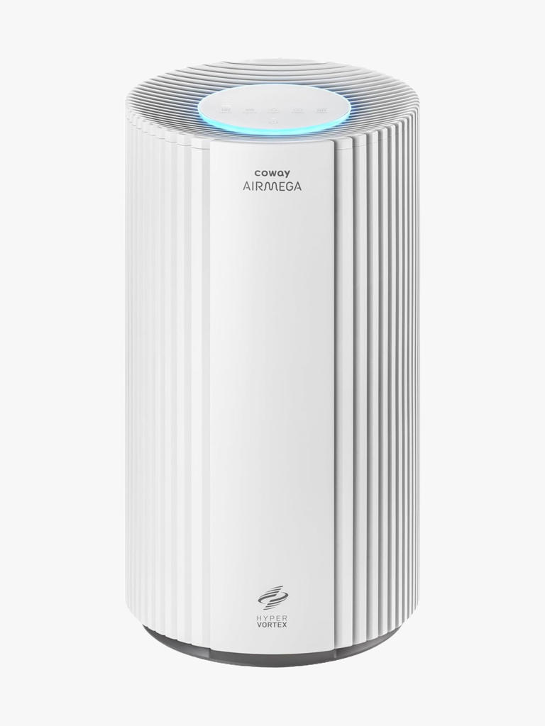 The Best Air Purifiers Are a Stylish Safeguard for Spring and Summer ...
