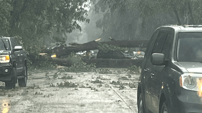 Two dead after trees fall onto cars along Virginia roadways during fast-moving storm