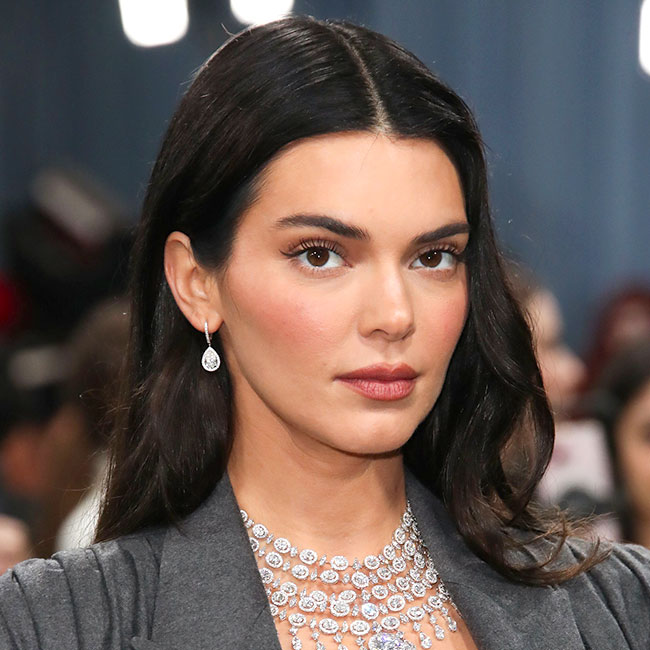 Kendall Jenner Wears A Navy Blue Alo Yoga Set