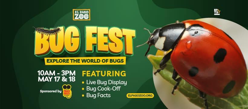 El Paso Zoo’s annual Bug Fest returns this weekend