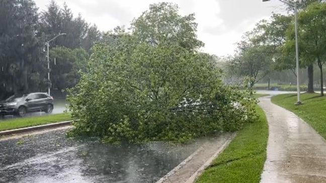 Severe storms sweep through DC, Maryland, Virginia causing downed trees ...