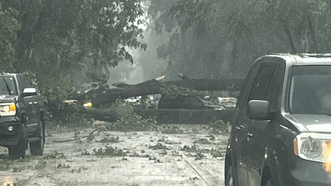 Severe storms sweep through DC, Maryland, Virginia causing downed trees ...
