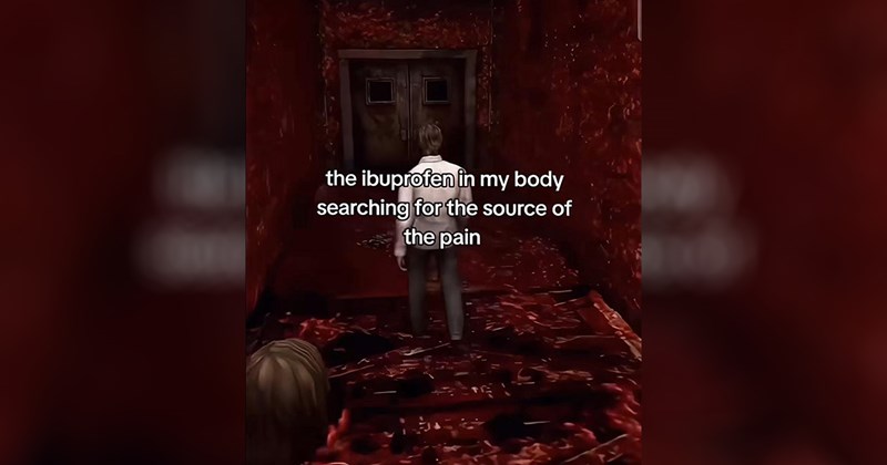 A Sandwich Stuffed With Memes