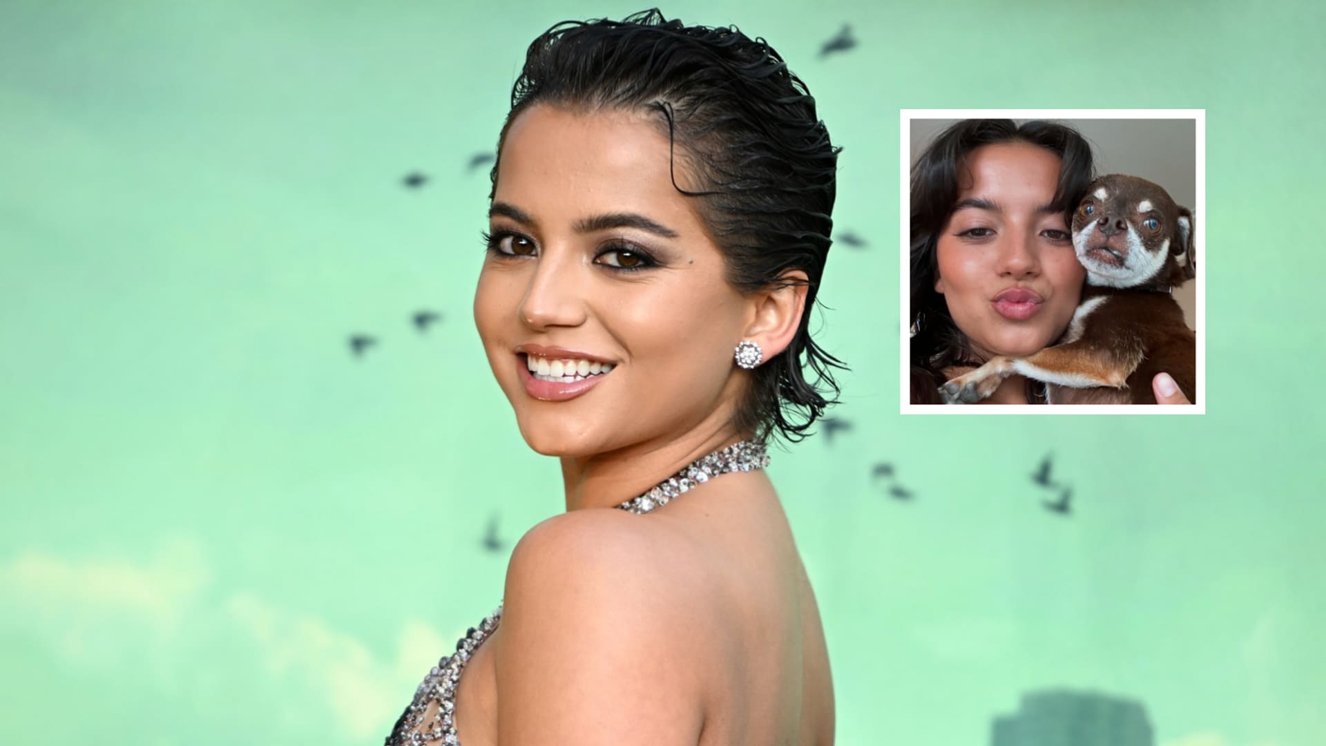 Pet of the week: Meet Isabela Merced's three adorable dogs, Bonbon ...